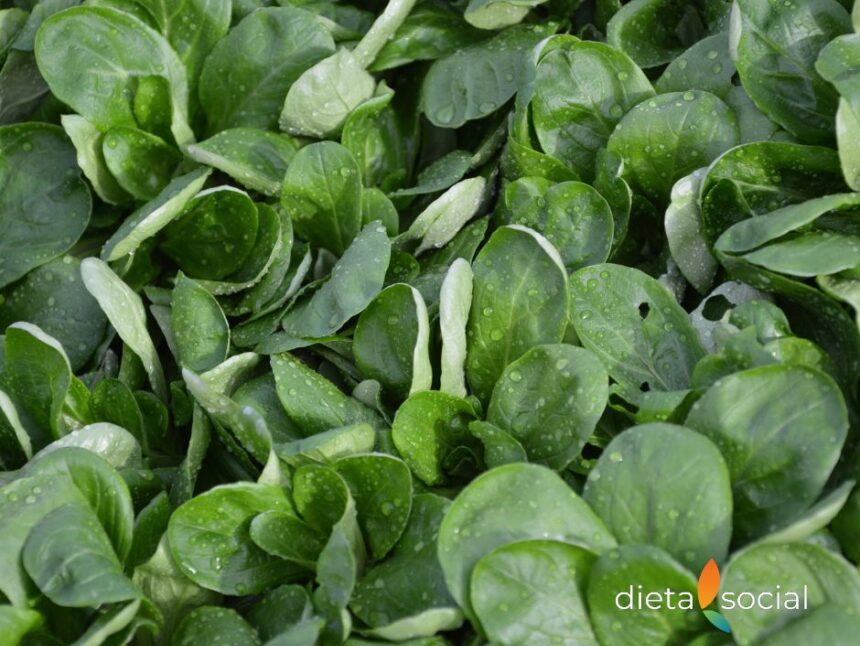 Songino: proprietà nutrizionali, benefici per la salute e consigli su ...